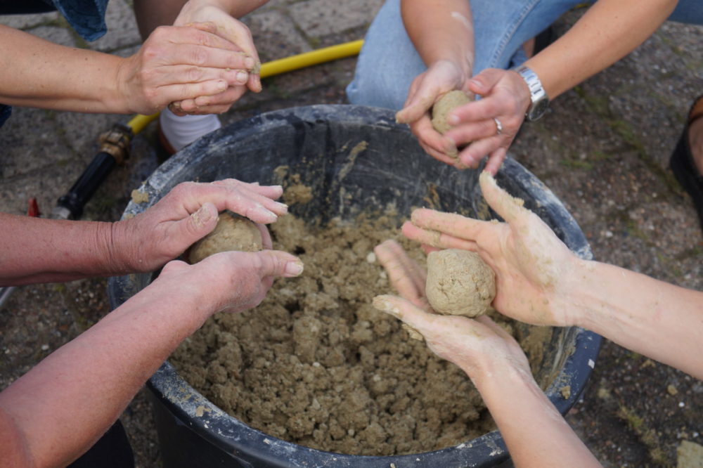 Internationaler EM-Mudball-Day - EM e.V.