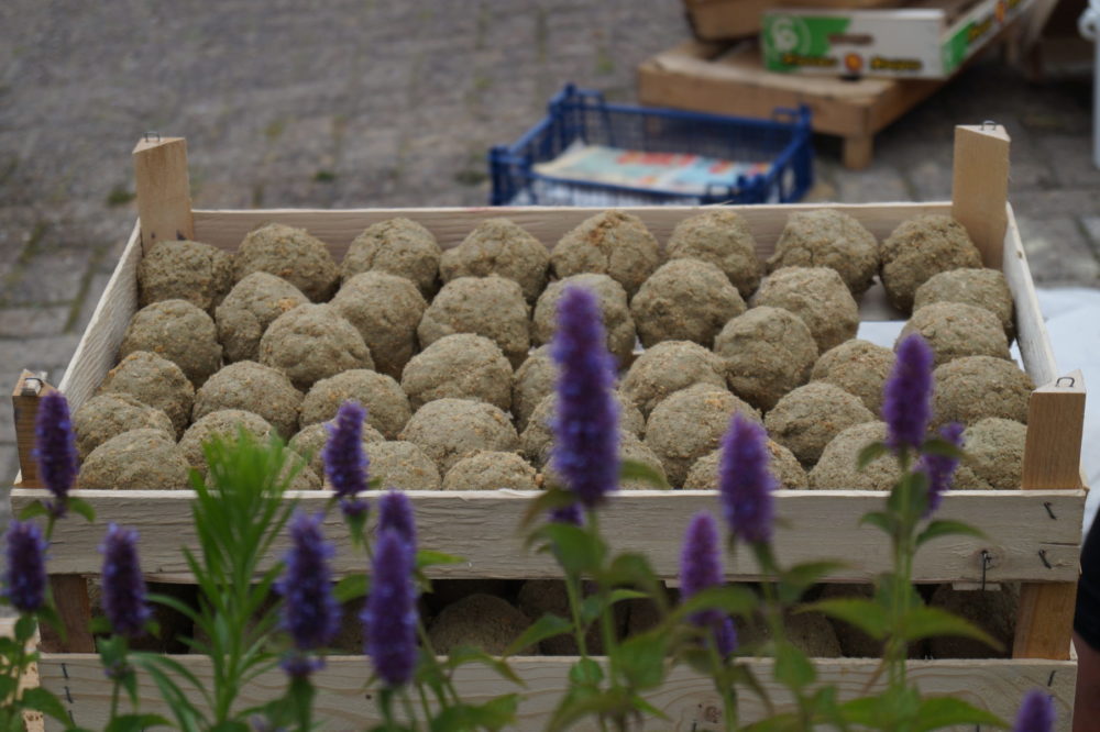 EM e.V. - Gesellschaft zur Förderung regenerativer Mikroorganismen