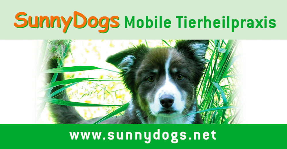 Sunny-Dogs - EM e.V.